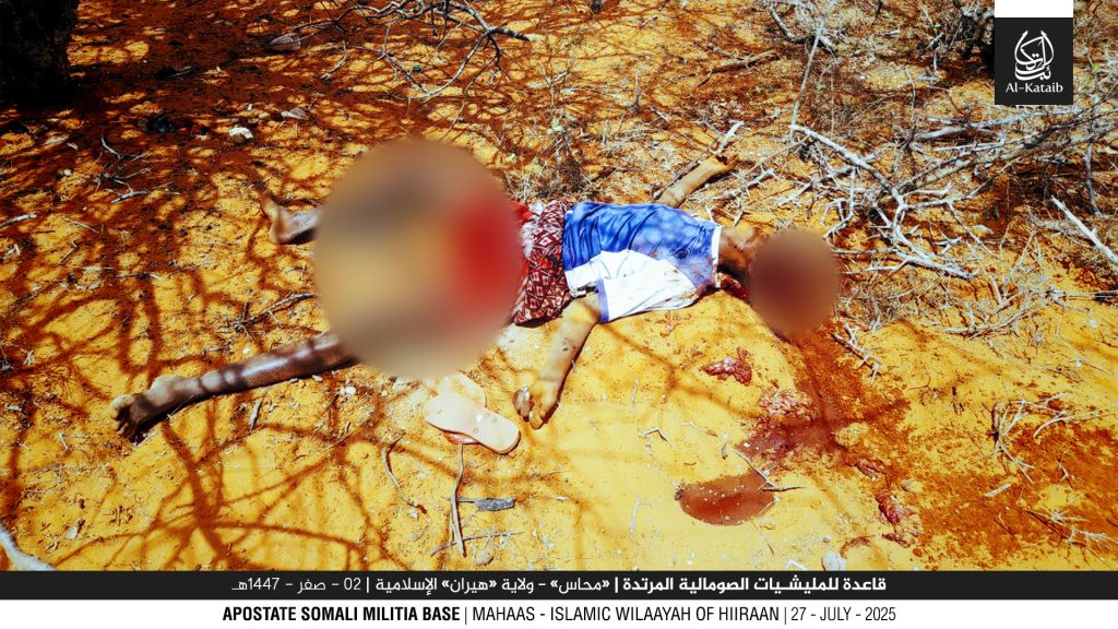 Sawirro Horleh: Mujaahidiinta oo Gacanta Ku Dhigay Maxaas kadib 12 Sano. – Faafreeb Pro ...